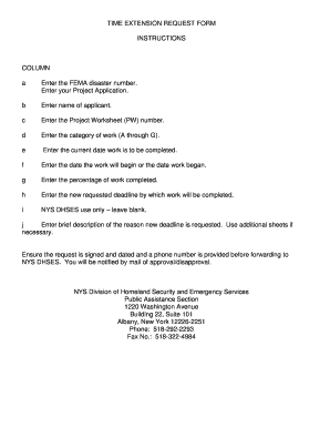 Fillable Online dhses ny TIME EXTENSION REQUEST FORM INSTRUCTIONS ...