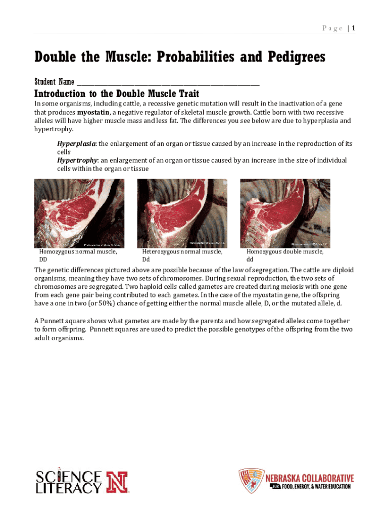 Fillable Online Double Muscling in Cattle: Genes, Husbandry, Carcasses ...