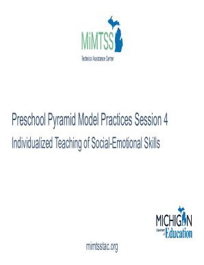 Fillable Online Pyramid Practices Session 4 Individualized Teaching of ...