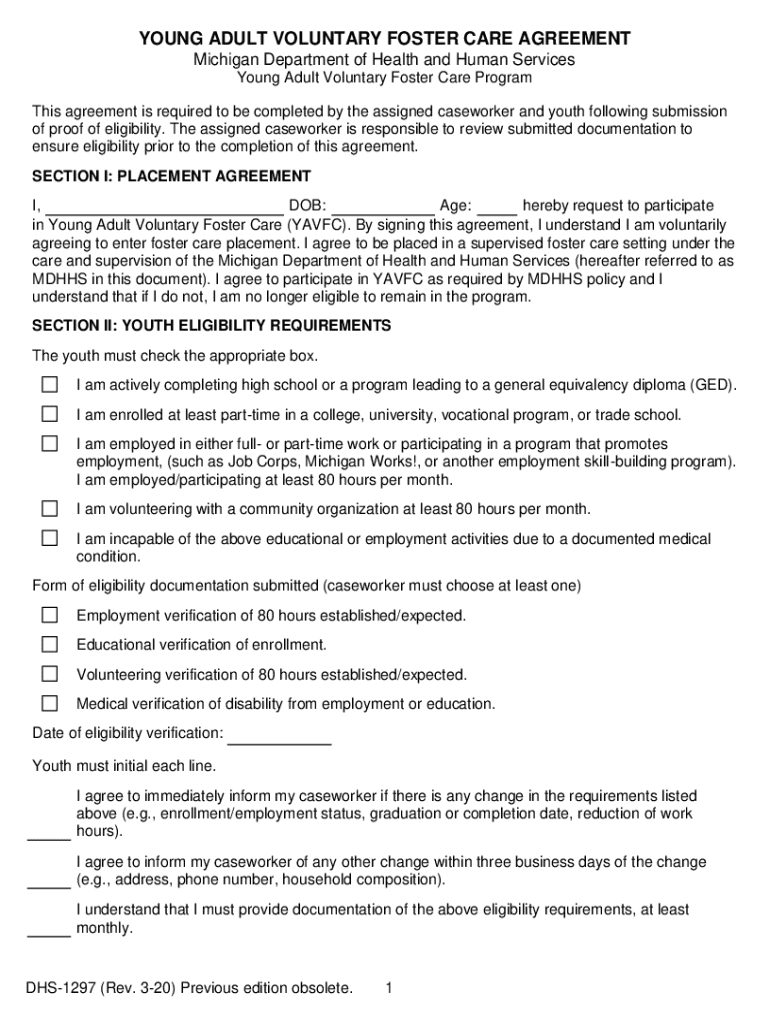 Program-Statement-Young-Adult-Voluntary-Foster-Care: Fill out & sign ...