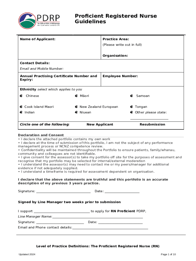 Designated Senior Nurse Guidelines Doc Template | pdfFiller