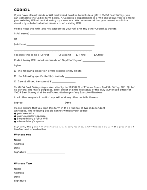 complete a Codicil Doc Template | pdfFiller