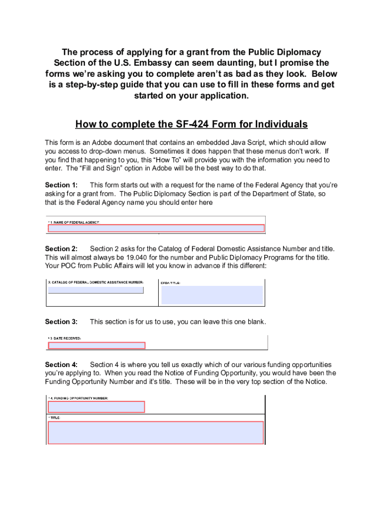 Fillable Online How to complete the SF-424 Form for Individuals.docx ...