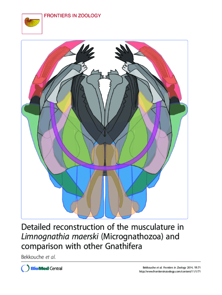 Fillable Online Detailed reconstruction of the musculature in ...