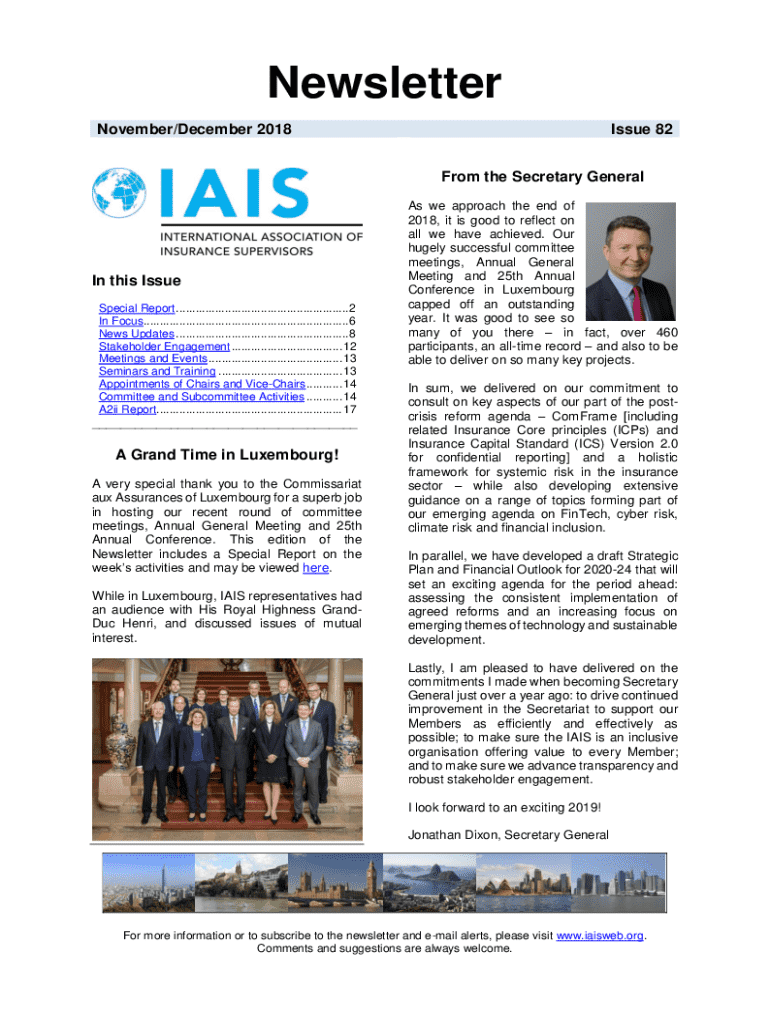 Fillable Online Iais Newsletter - Key Achievements and Activities ...