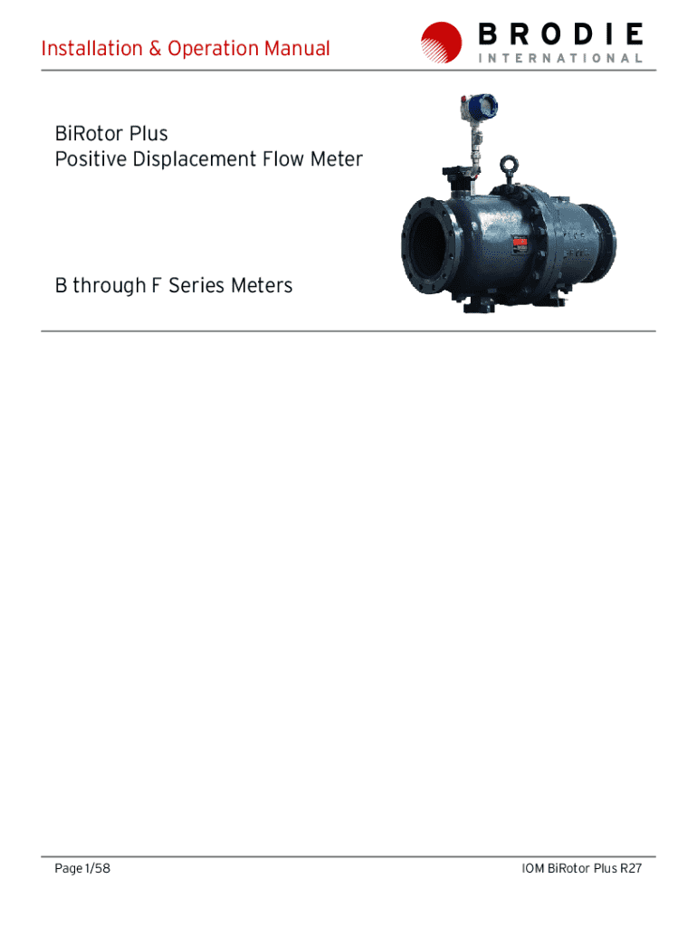 Fillable Online BiRotor Plus Positive Displacement Flow Meter B through ...