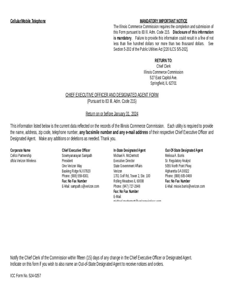 Chief Executive Officer and Designated Agent Doc Template | pdfFiller