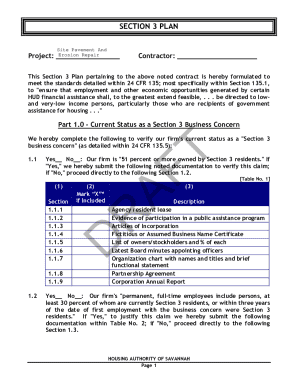 Fillable Online Section 3 Plan for Site Pavement and Erosion Repair ...