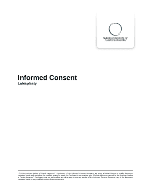 Ined Consent for Labiaplasty Doc Template | pdfFiller