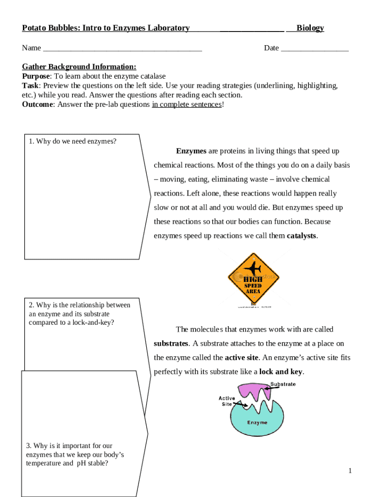 Potato Bubbles: Intro to Enzymes Laboratory Doc Template | pdfFiller