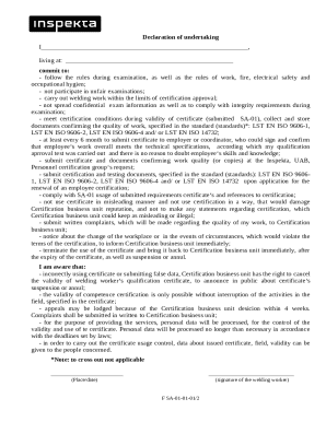 Declaration of Undertaking Doc Template | pdfFiller