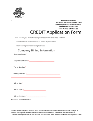 Credit Application Doc Template | pdfFiller
