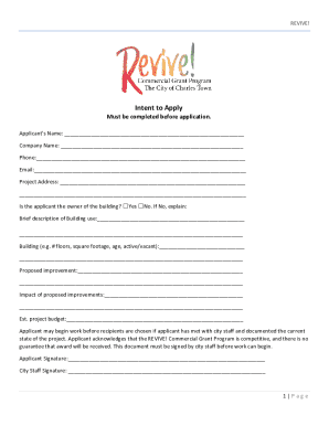 Fillable Online Revive! Commercial Grant Program Application 2024 Fax ...