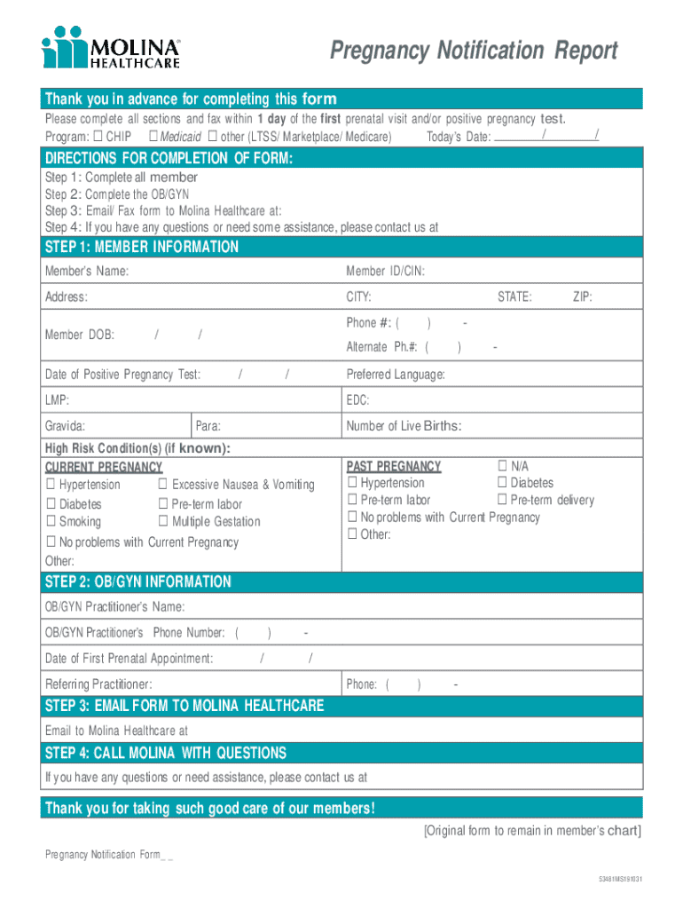 Fillable Online Pregnancy Test Report Sample Pdf - Fill Online ...