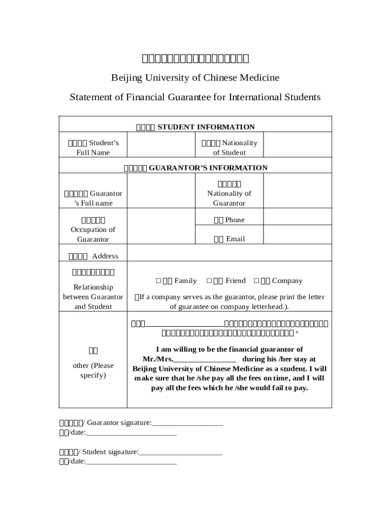 Financial Support Guarantee Statement Doc Template | pdfFiller
