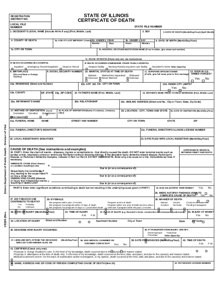 state of illinois - certificate of death worksheet Doc Template | pdfFiller