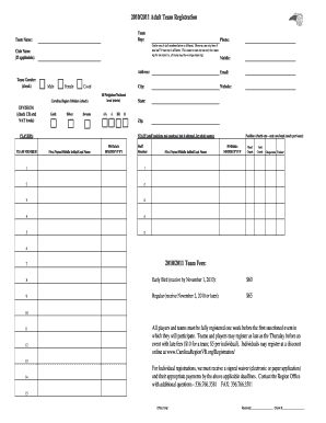 Fillable Online crvb 2010/2011 Adult Team Registration Form Fax Email ...