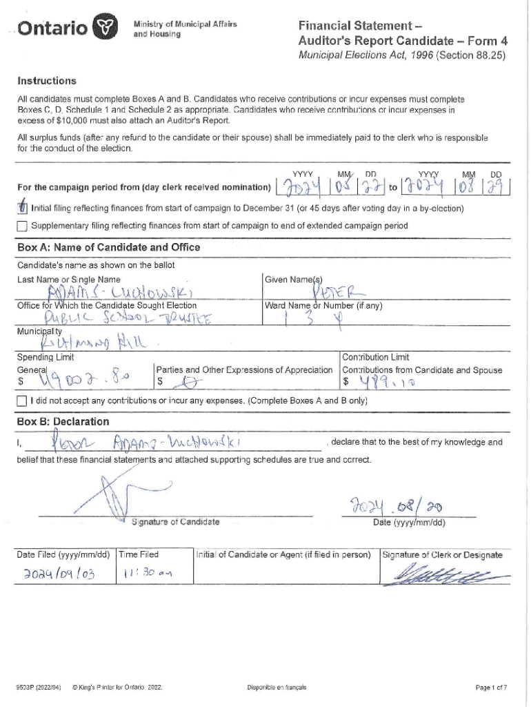Fillable Online Financial Statement - Auditor's Report Fax Email Print - pdfFiller
