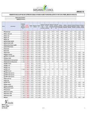 Fillable Online Remuneration/basic Salary/wage and Contribution ...