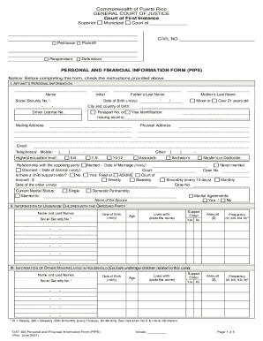Fillable Online Personal and Financial Information Form (pipe) Fax ...