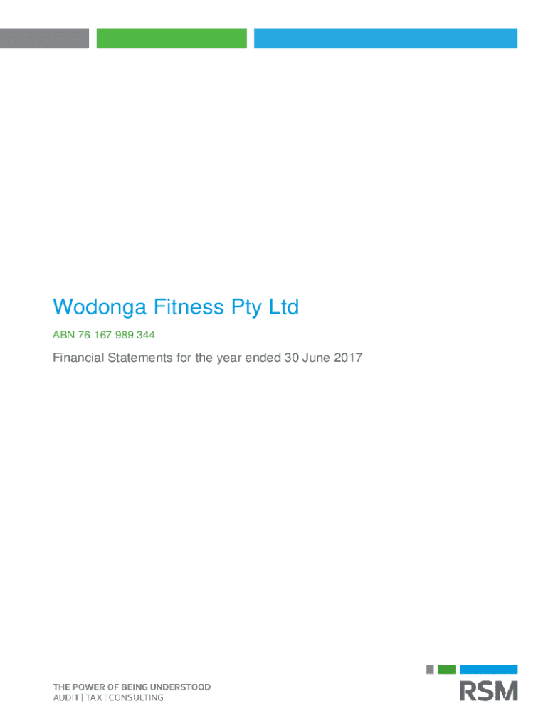 Fillable Online Financial Statements for the Year Ended 30 June 2017 Fax Email Print - pdfFiller