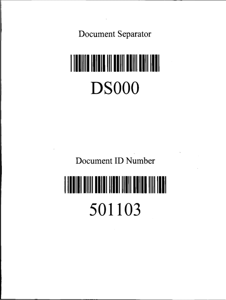 Fillable Online Supplemental Phase Ii Esa Adjacent to Former Pintsch ...