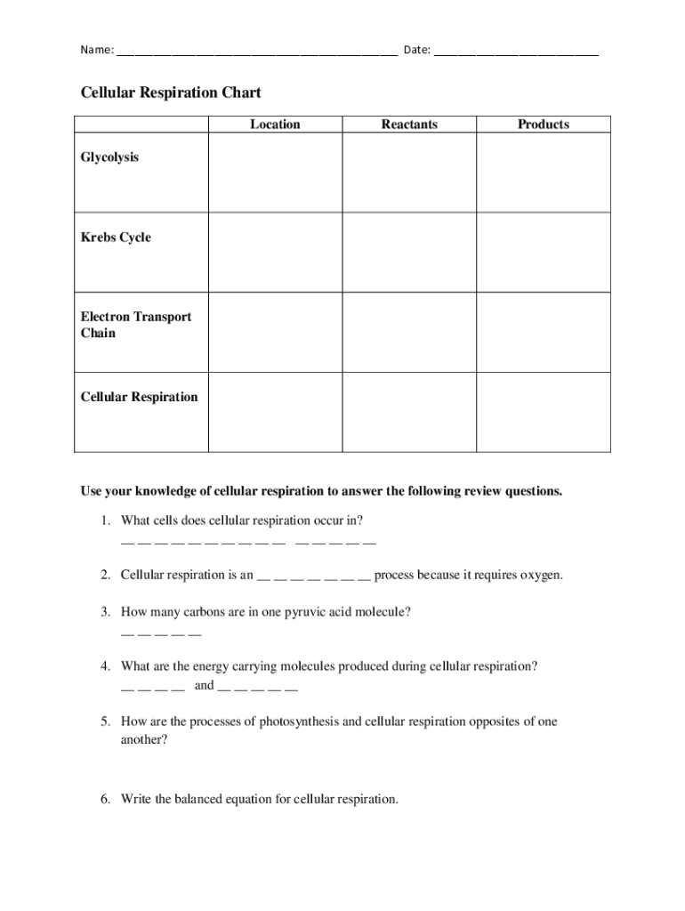 Fillable Online Cellular Respiration: What Is It, Its Purpose Fax Email ...