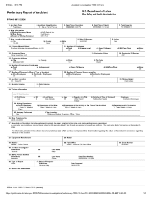 Fillable Online Preliminary Report of Accident Fax Email Print - pdfFiller