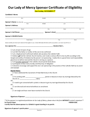 Fillable Online Sponsor Certificate of Eligibility Fax Email Print - pdfFiller