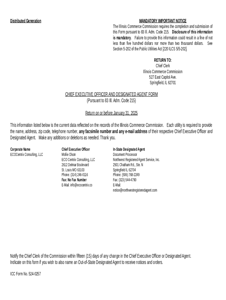 Ceo and Designated Agent - icc illinois Doc Template | pdfFiller