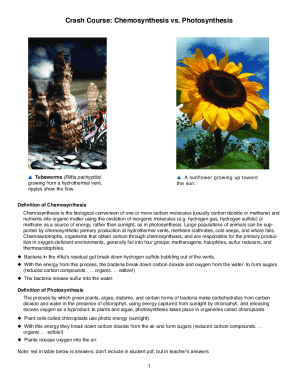 Fillable Online Chemosynthesis Vs. Photosynthesis Fax Email Print ...