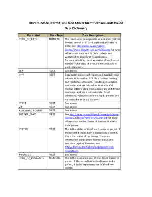 Fillable Online Driver License, Permit, and Non-driver Identification ...