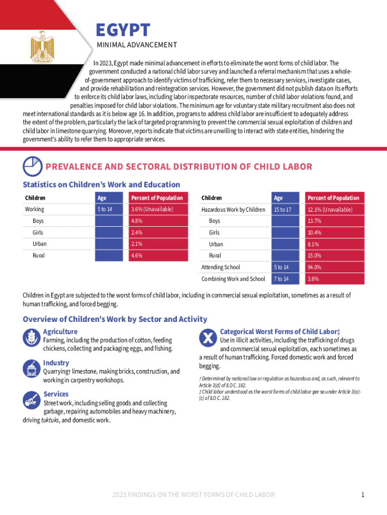 Fillable Online Minimal Advancement in Addressing Child Labor in Egypt ...