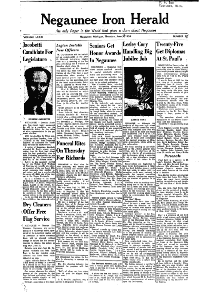 Fillable Online Welcome to Negaunee Township, MI Fax Email Print ...