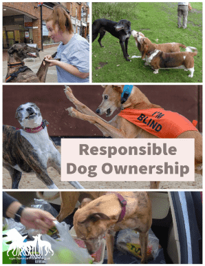 Fillable Online Responsible Dog Ownership Guide Fax Email Print - pdfFiller