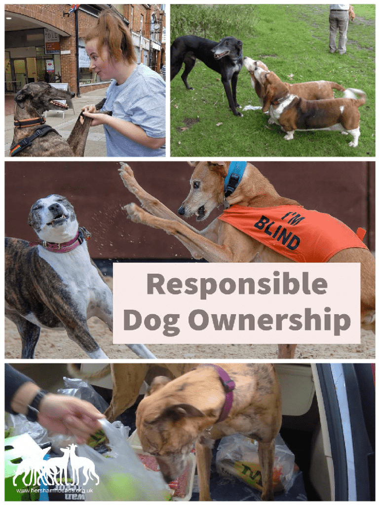 Fillable Online Responsible Dog Ownership Guide Fax Email Print - pdfFiller