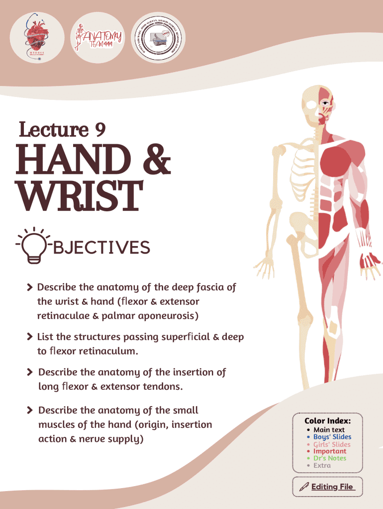 Fillable Online Anatomy of the Hand & Wrist: Bones, Muscles & Ligaments ...