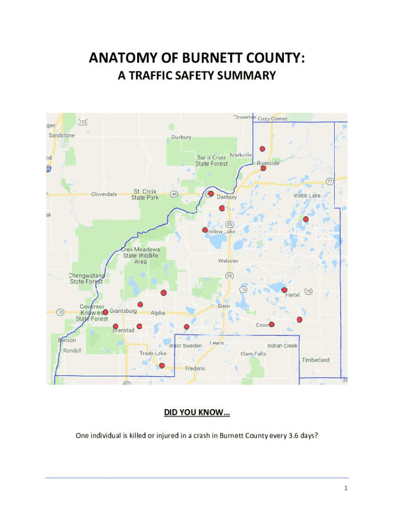 Fillable Online Anatomy of Calumet County: A Traffic Safety Summary Fax ...