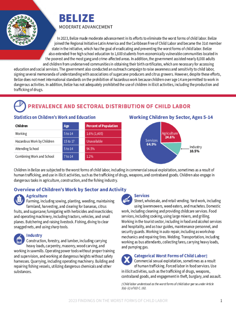 Fillable Online Findings on the Worst Forms of Child Labor - Belize Fax ...