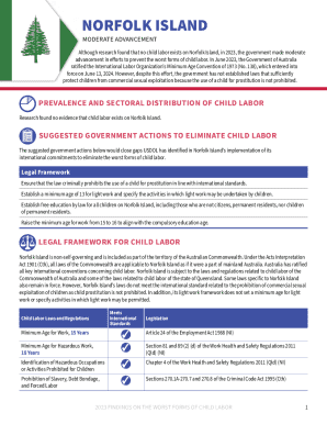 Fillable Online 2023 Findings on the Worst Forms of Child Labor in ...