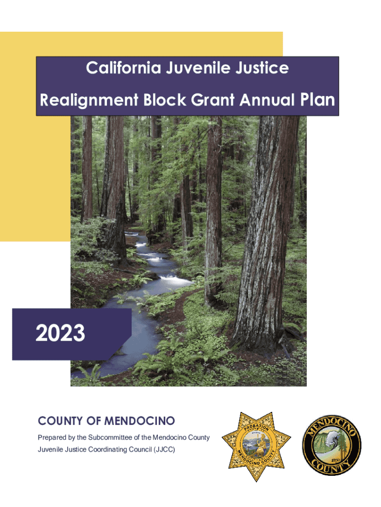 Fillable Online California Juvenile Justice Realignment Block Grant ...