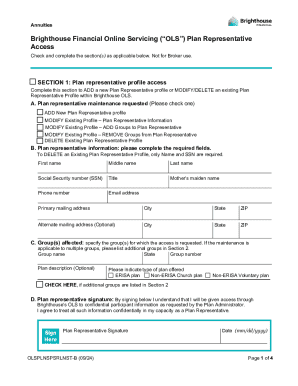 Fillable Online Brighthouse Financial Online Servicing Plan ...