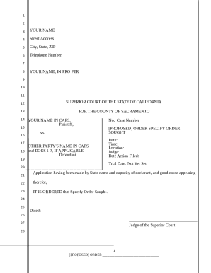 Ex Parte - Order - Template Doc Template | pdfFiller