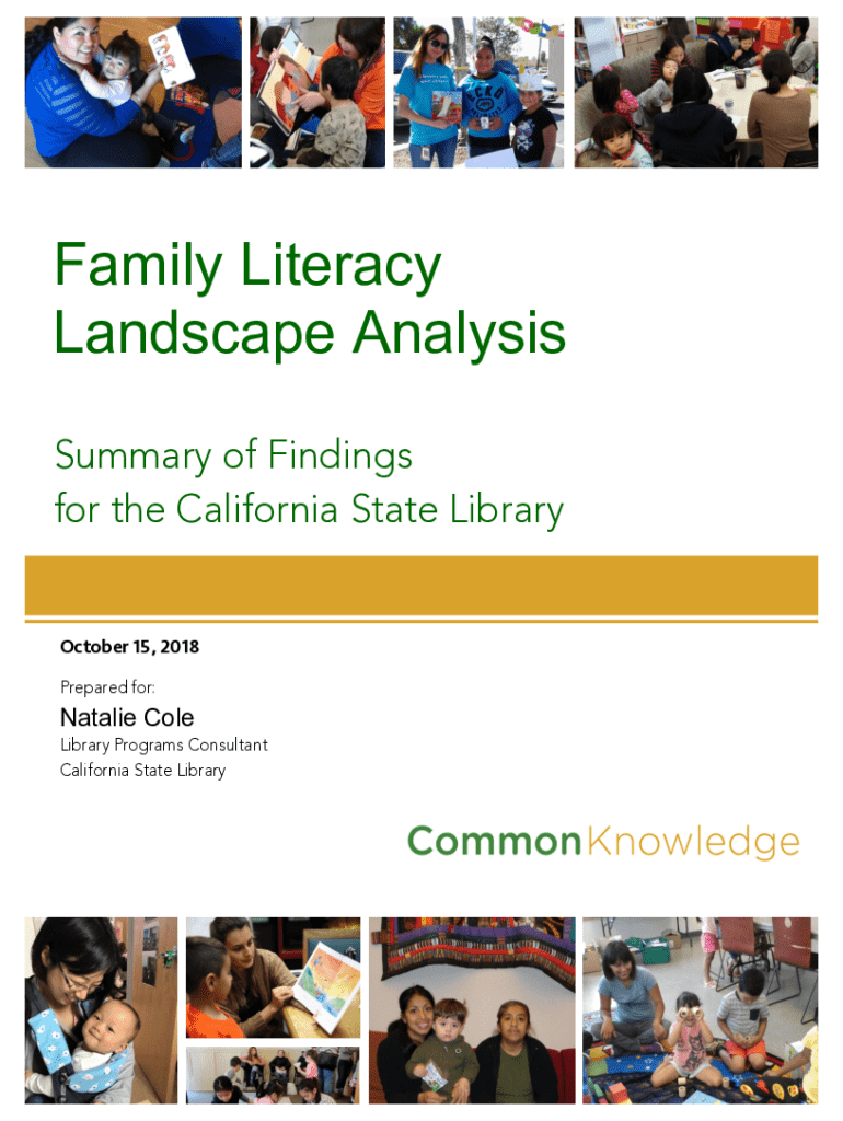 Fillable Online Family Literacy Landscape Analysis Summary of Findings Fax Email Print - pdfFiller