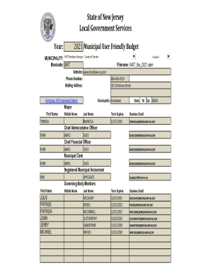 Fillable Online 2021 Municipal User Friendly Budget Fax Email Print ...