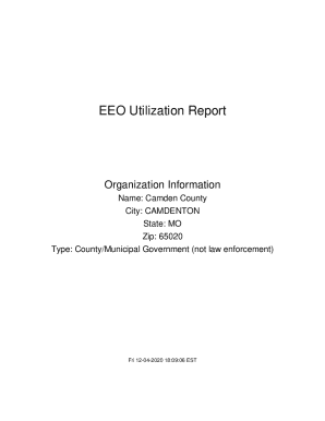 Fillable Online Eeo Utilization Report Fax Email Print - pdfFiller