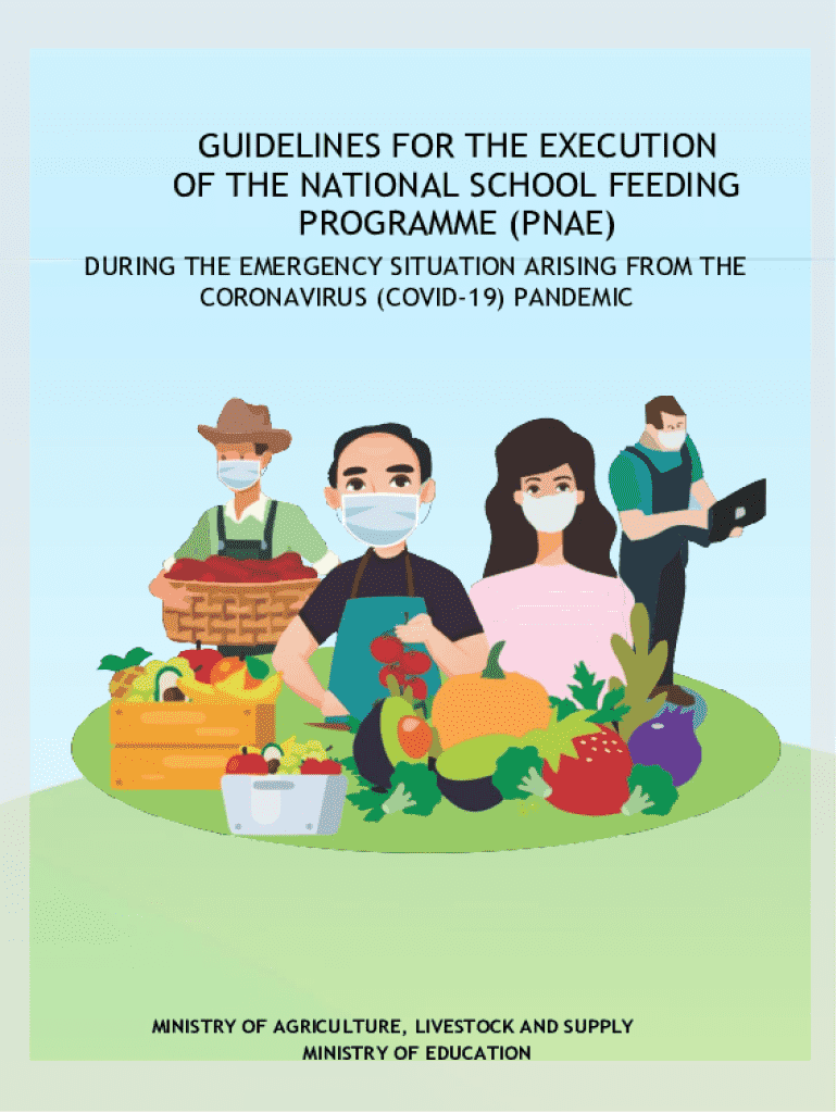 Fillable Online Guidelines for the Execution of the National School ...