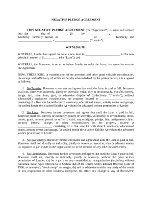 AFFIDAVIT OF GAS PIPING TEST - Collier County, FL Home: Fill out & sign ...