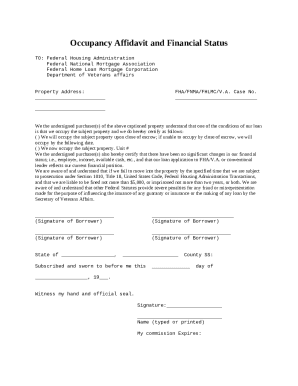 Occupancy Affidavit and Financial Status Doc Template | pdfFiller