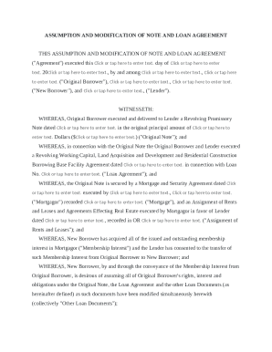 ASSUMPTION AND MODIFICATION OF NOTE AND LOAN AGREEMENT Doc Template ...